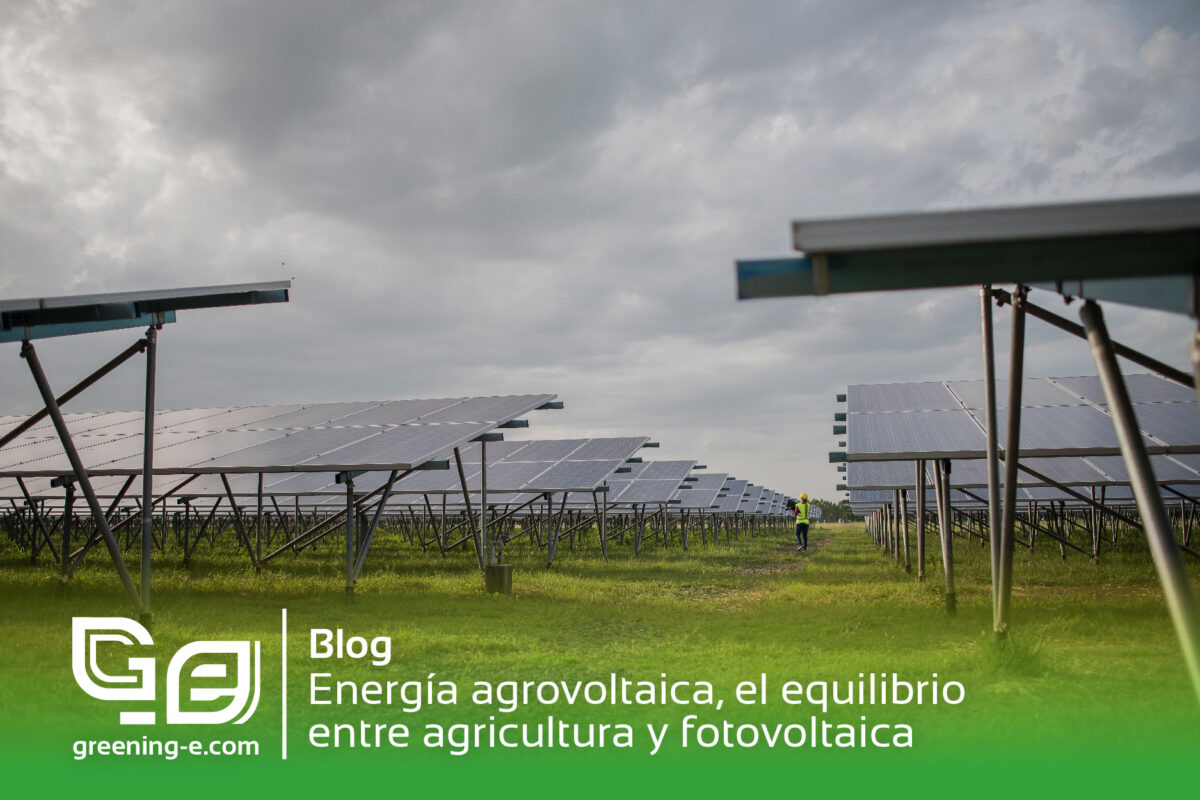 Energía agrovoltaica, el equilibrio entre agricultura y renovables